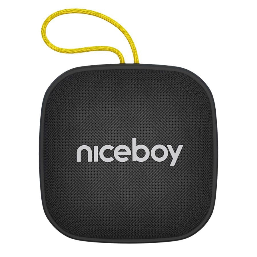Niceboy RAZE Mini 4 Radio & Bluetooth Højtaler - Sort | TABLETCOVERS.DK